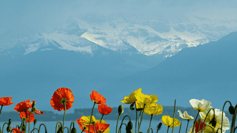 Winter In Geneva: A Guide To The Best Things To Do (+ Packing Tips ...