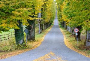 Driving In The Alps: All The Info You Need To Plan A Trip - SwitzerLanding