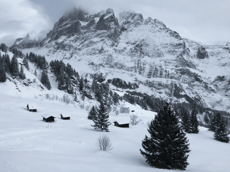 Sledging Switzerland: The Best Sledge Runs - SwitzerLanding