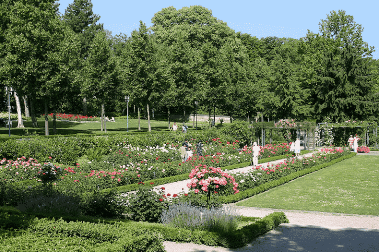 Bern and Basel: Contrasting Cultures and Captivating Landscapes ...