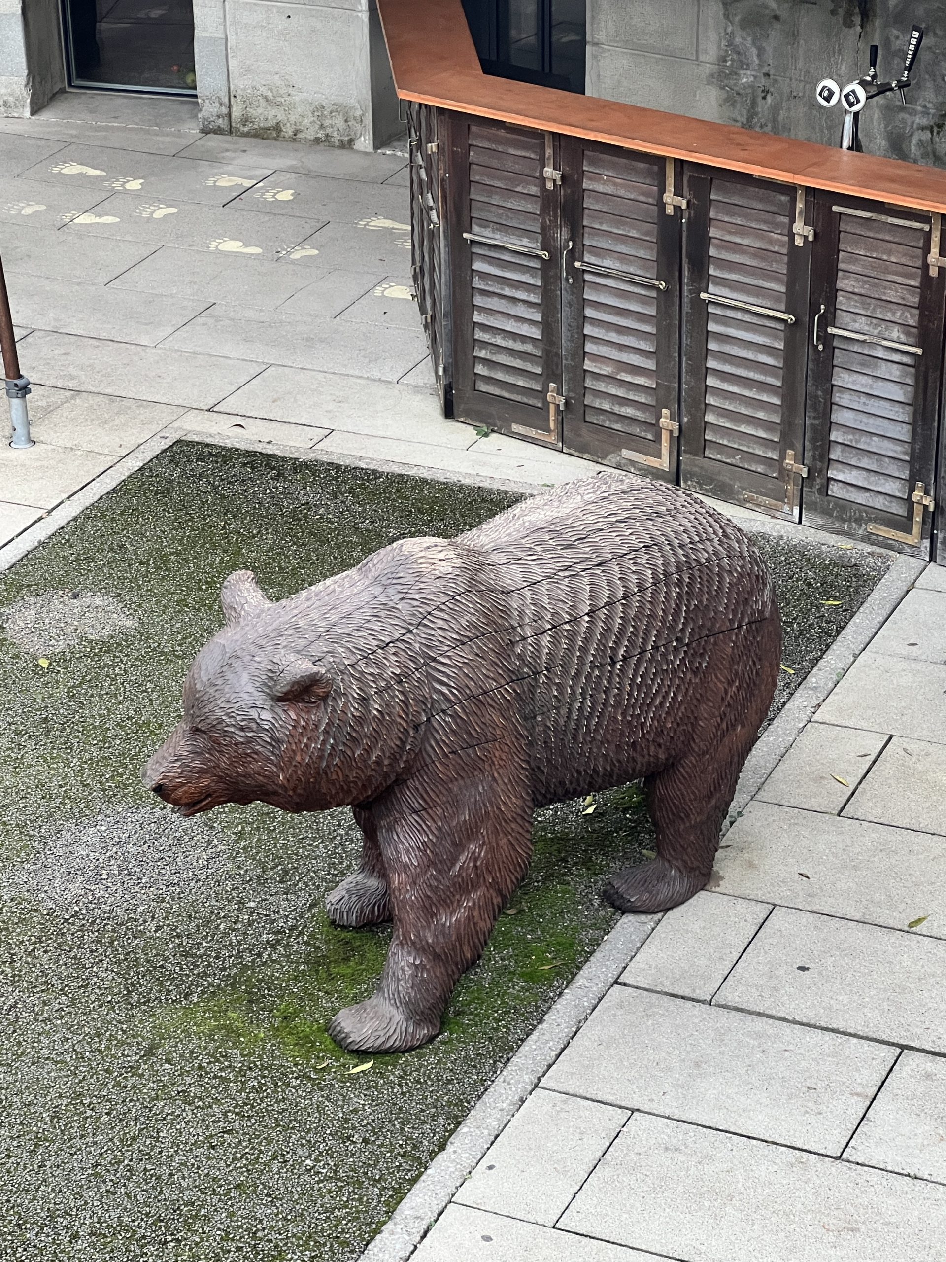 Visiting the Bear Park in Bern: All The Info - SwitzerLanding