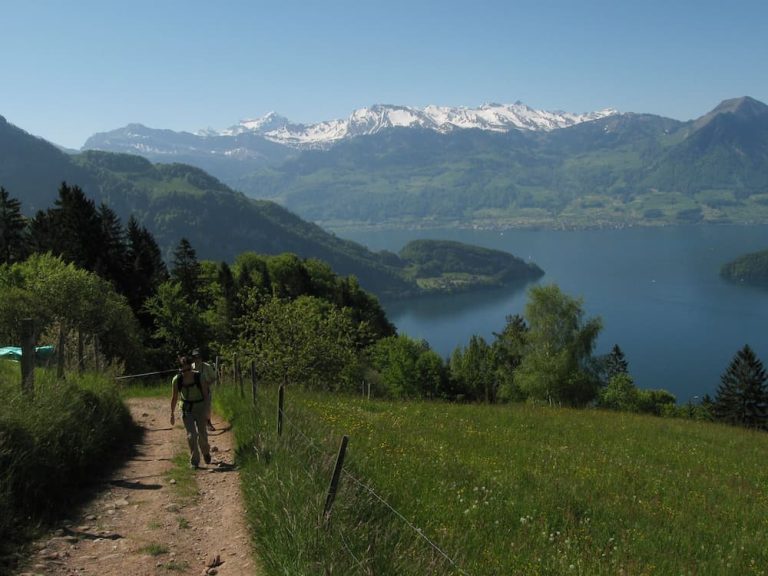 Mount Rigi: Your Ultimate Guide to Visiting The Queen of the Mountains ...