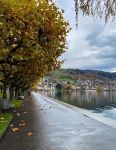 8 Best Things To Do In Zug: All The Must-See Places - SwitzerLanding