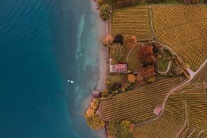 Spiez, Switzerland - A Visitor’s Guide - SwitzerLanding