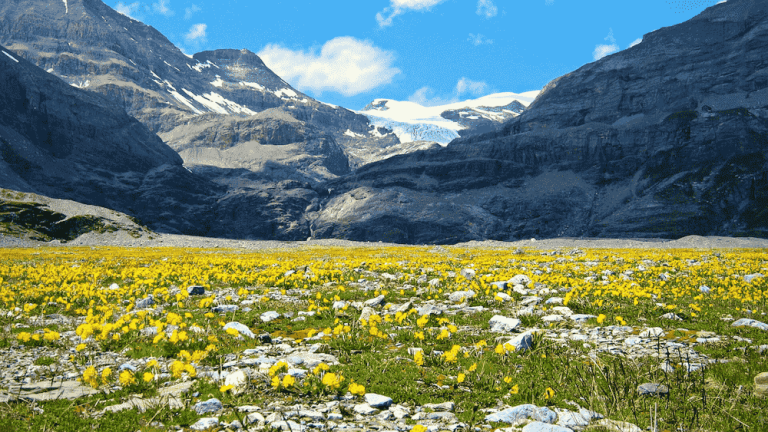 Romantic Switzerland: 12 Beautiful Places for Honeymooners - SwitzerLanding