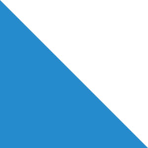 Swiss Cantonal Flags - SwitzerLanding