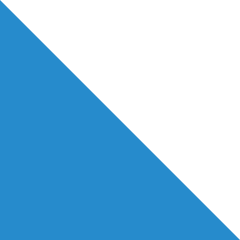 Swiss Cantonal Flags - SwitzerLanding
