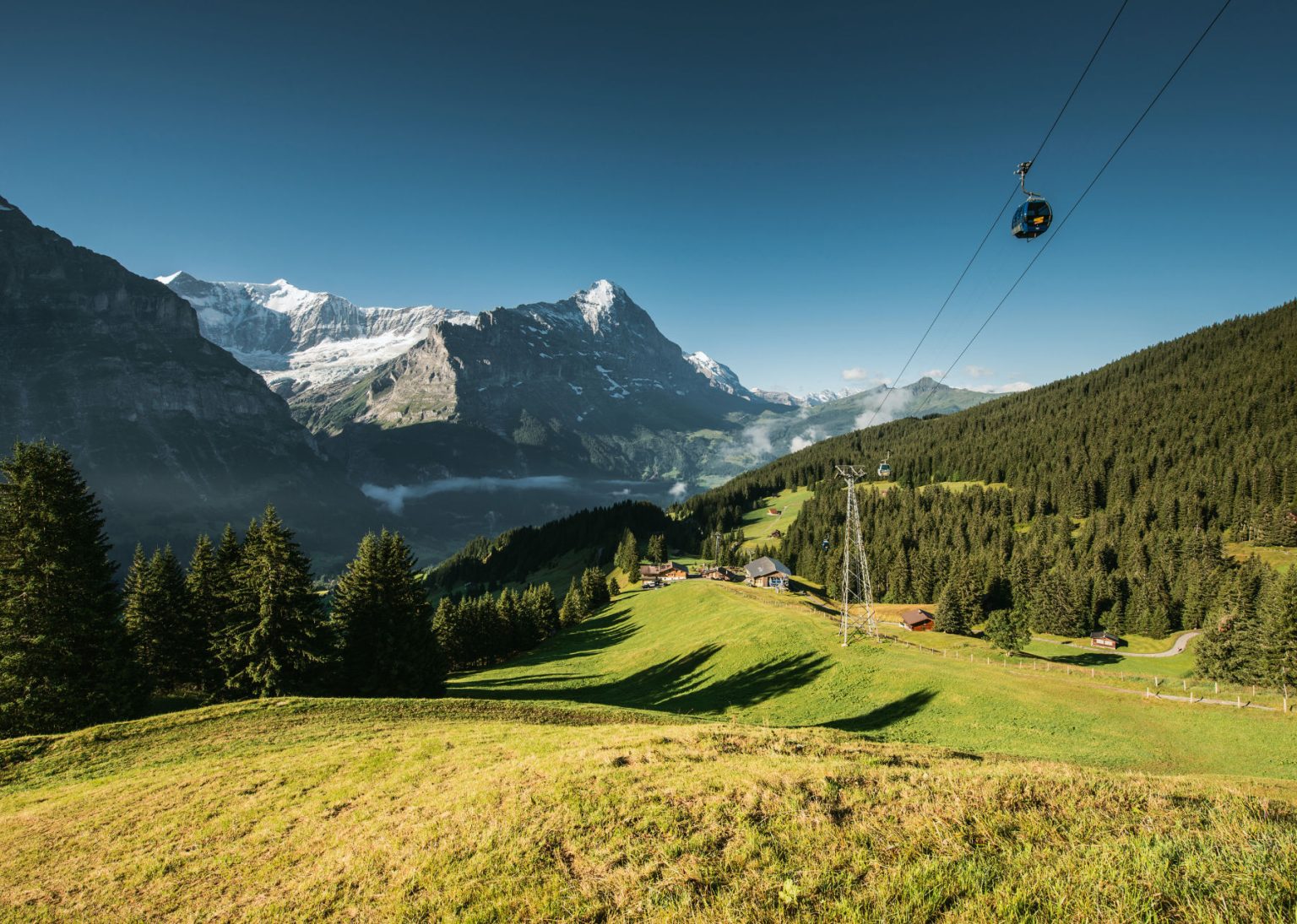 Visiting First Mountain, Grindelwald (Action, Adventure & More ...