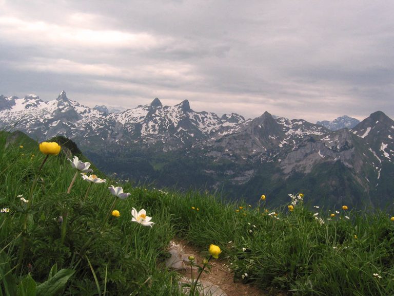 Best Hikes Near Zurich: Stunning Trails to Explore - SwitzerLanding