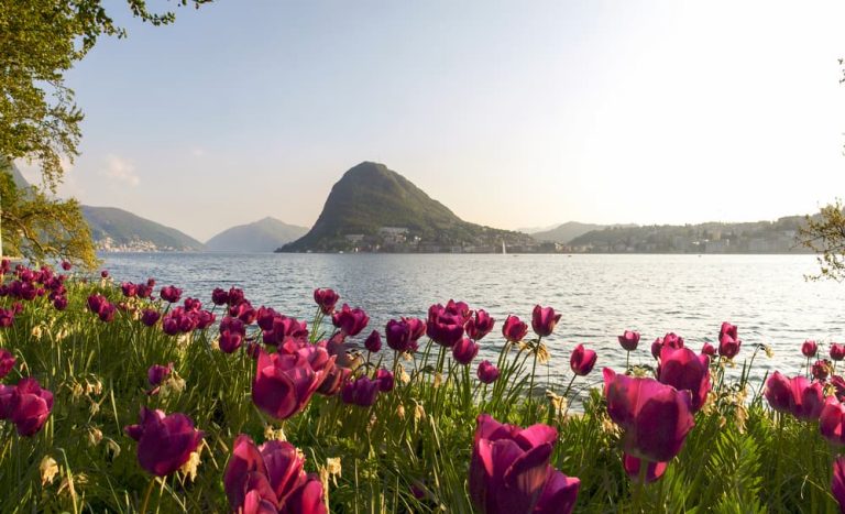 Monte San Salvatore Funicular in Lugano (Stunning Vistas) - SwitzerLanding