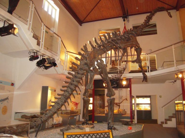 Sauriermuseum Aathal: Prähistorisches Dinosaurier-Paradies - SwitzerLanding