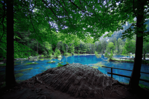 Visiter le lac Blausee : Le pays des merveilles caché de la nature ...