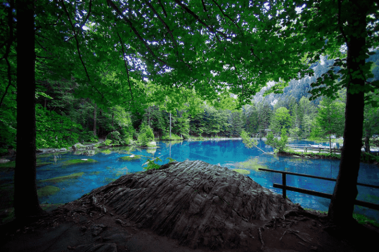 Visiting Lake Blausee: Nature's Hidden Wonderland - SwitzerLanding