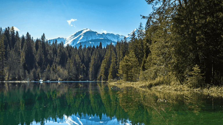 Crestasee: A Visitor’s Guide To The Idyllic Swiss Lake - SwitzerLanding