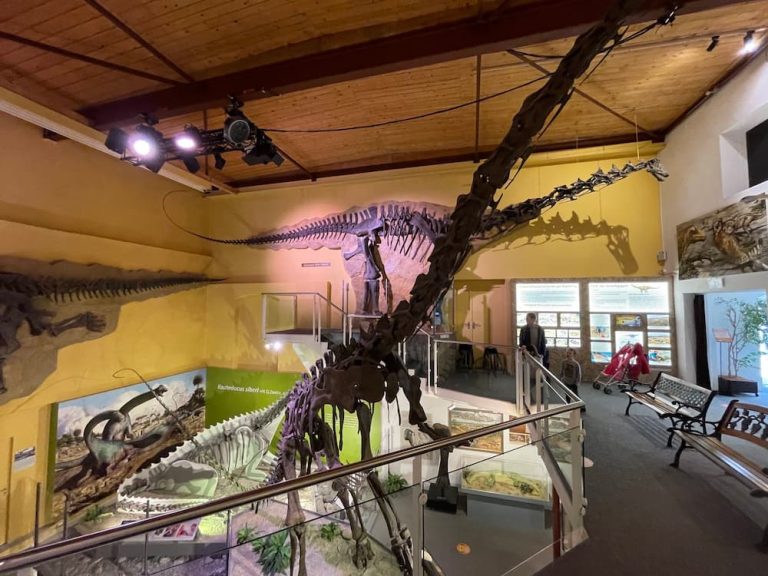 Saurier Museum Aathal: Prehistoric Dinosaur Paradise - SwitzerLanding