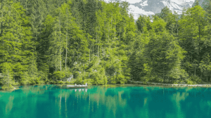 Visiting Lake Blausee: Nature's Hidden Wonderland - SwitzerLanding