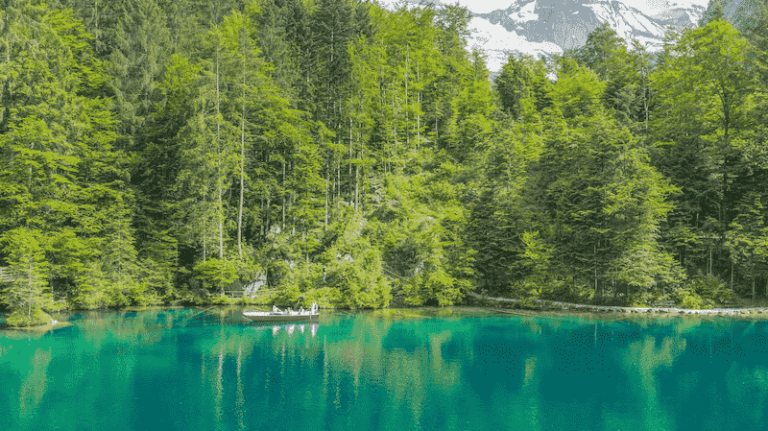 Visiting Lake Blausee: Nature's Hidden Wonderland - SwitzerLanding