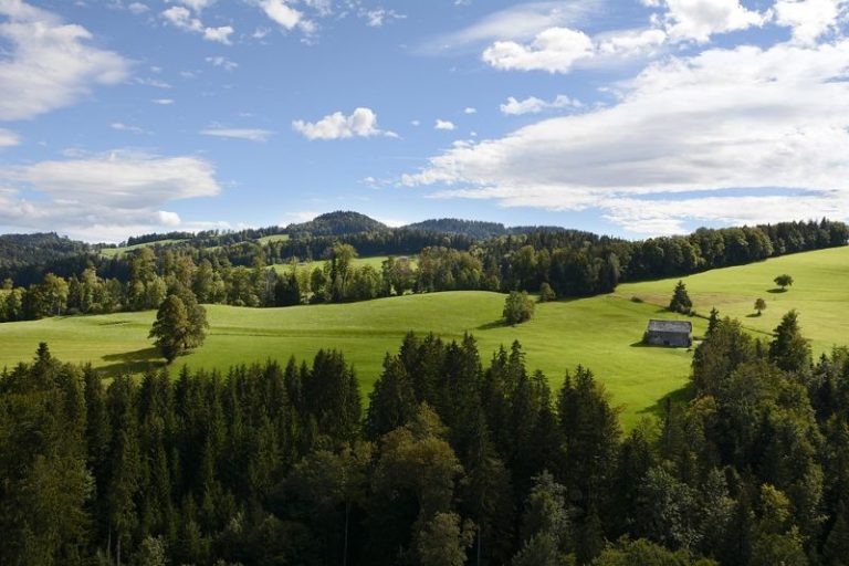 Lichtensteig, Schweiz: Ein charmantes Dorf, das es wert ist, entdeckt ...