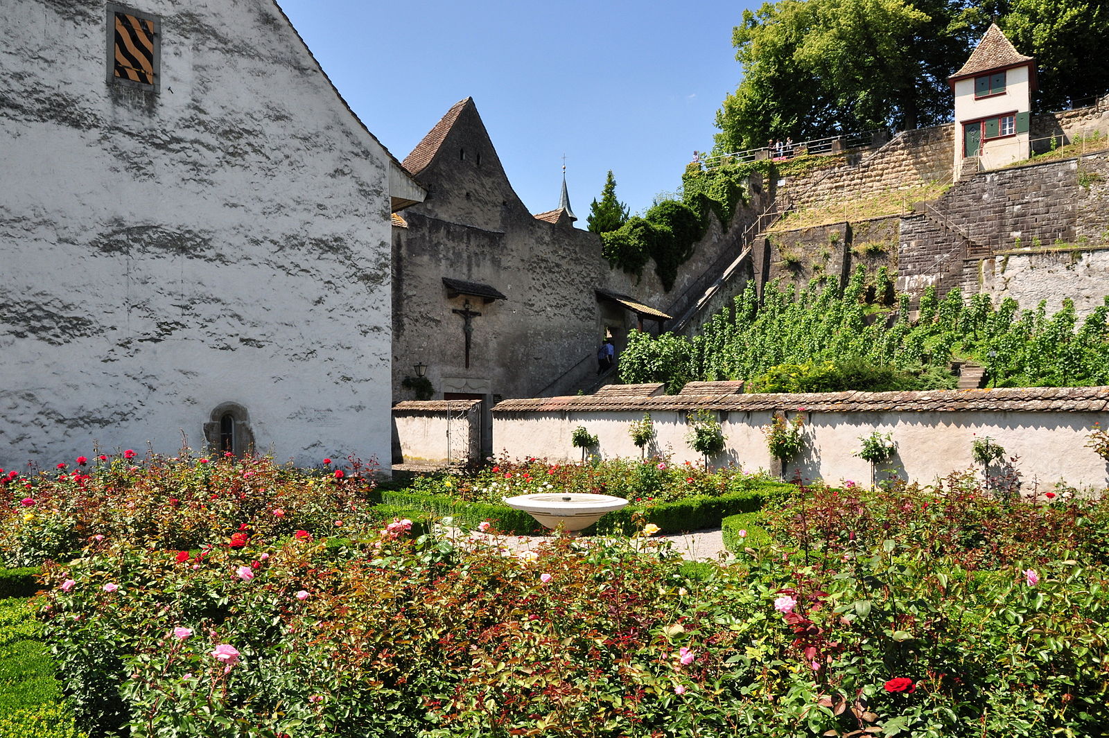 Rapperswil Rose Garden: A Blooming Swiss Sanctuary - SwitzerLanding
