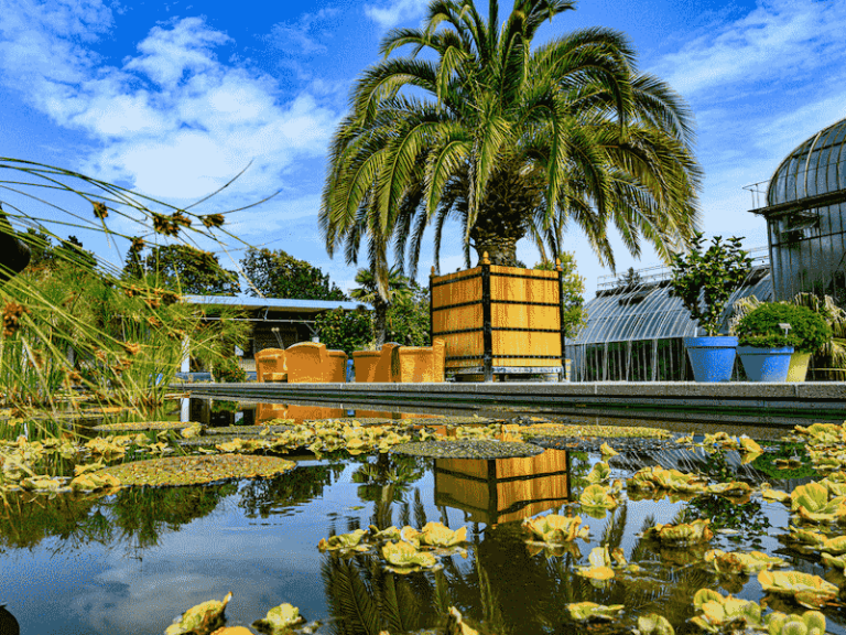 Visiting Geneva Botanical Gardens: What You Need To Know - SwitzerLanding