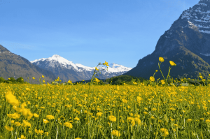 Spring in Switzerland: Where To Go & What To Do - SwitzerLanding
