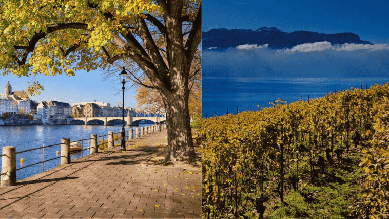Basel Vs. Geneva: Choosing The Perfect Swiss Destination - SwitzerLanding