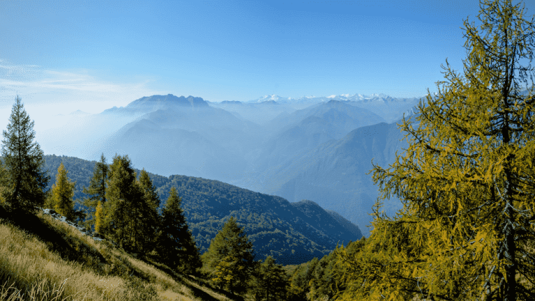 Cardada - Cimetta: A Guide For Visitors - SwitzerLanding