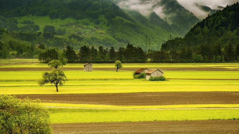 Farming In Switzerland: A Detailed Guide - SwitzerLanding