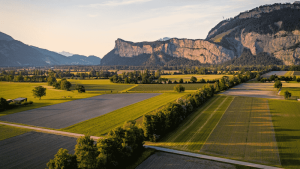 Farming In Switzerland: A Detailed Guide - SwitzerLanding