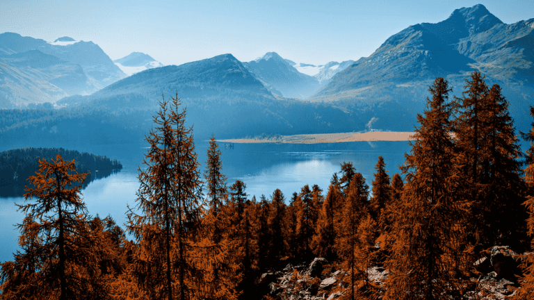 A Visitor’s Guide To Sils Maria (Escape to Paradise) - SwitzerLanding
