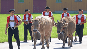 Yodeling In Switzerland: Everything You Need To Know - SwitzerLanding