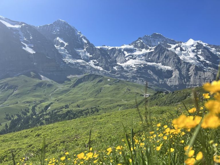 Männlichen to Kleine Scheidegg Panorama Trail (Easy with Epic Views ...
