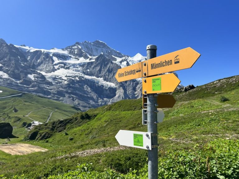 Männlichen to Kleine Scheidegg Panorama Trail (Easy with Epic Views ...