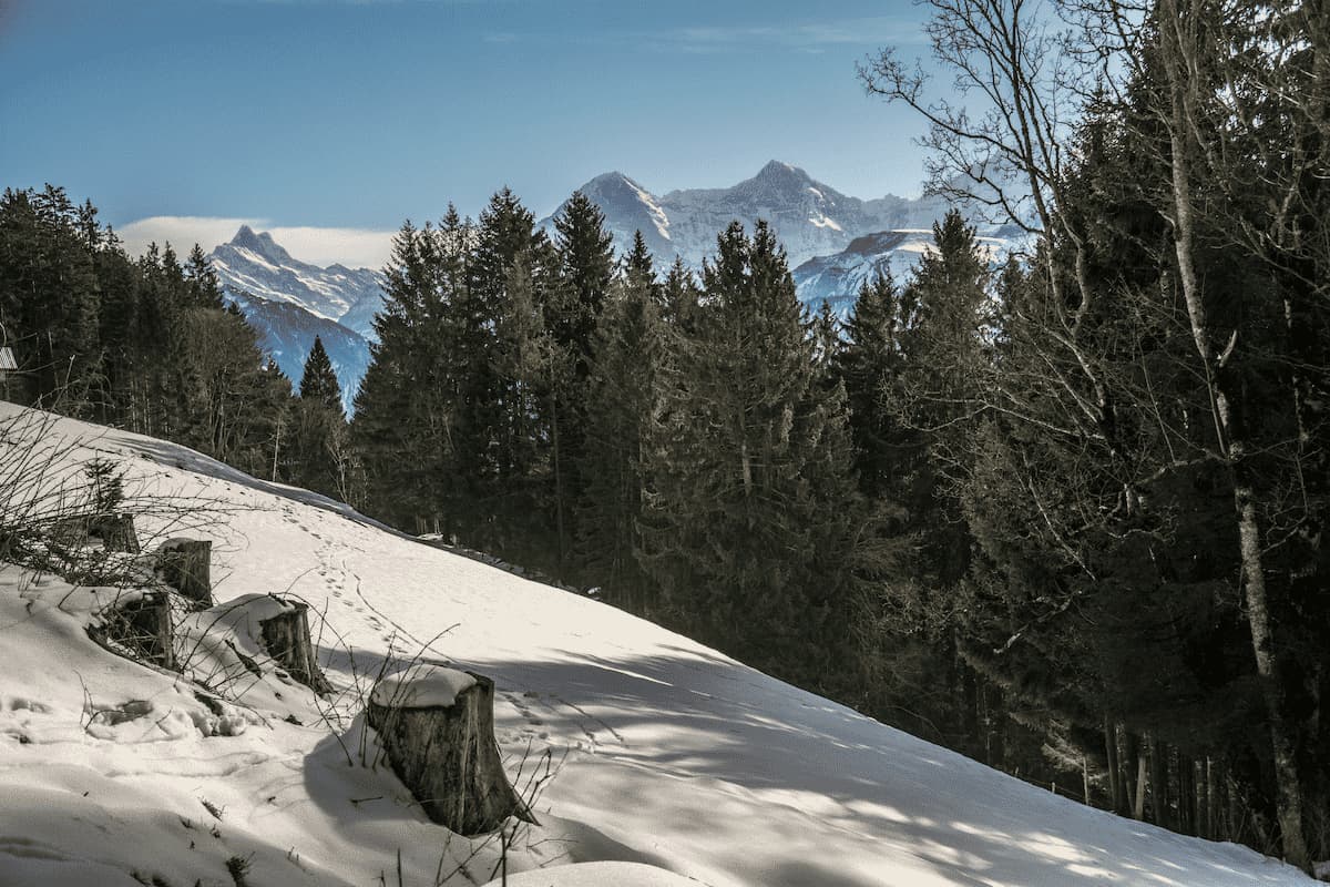 Skiing Near Interlaken: Best Resorts For Beginners & Experts ...