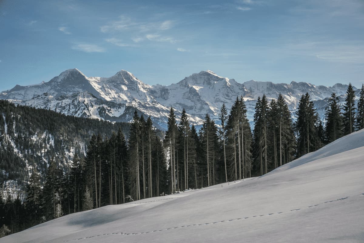 Skiing Near Interlaken: Best Resorts For Beginners & Experts ...