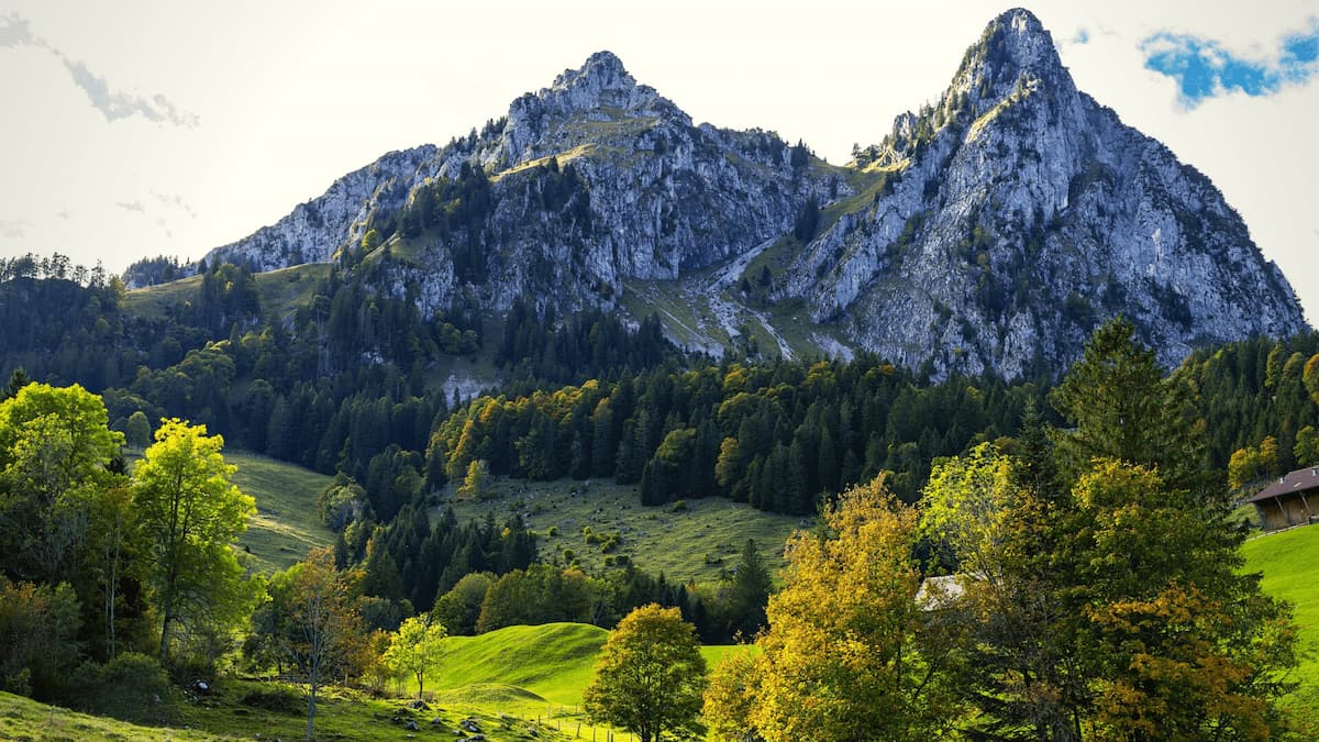 Mount Rigi: Your Ultimate Guide to Visiting The Queen of the Mountains ...