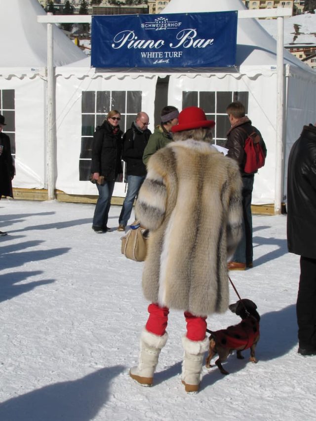 Thrills, Chills, and Horse Racing: White Turf in St. Moritz ...